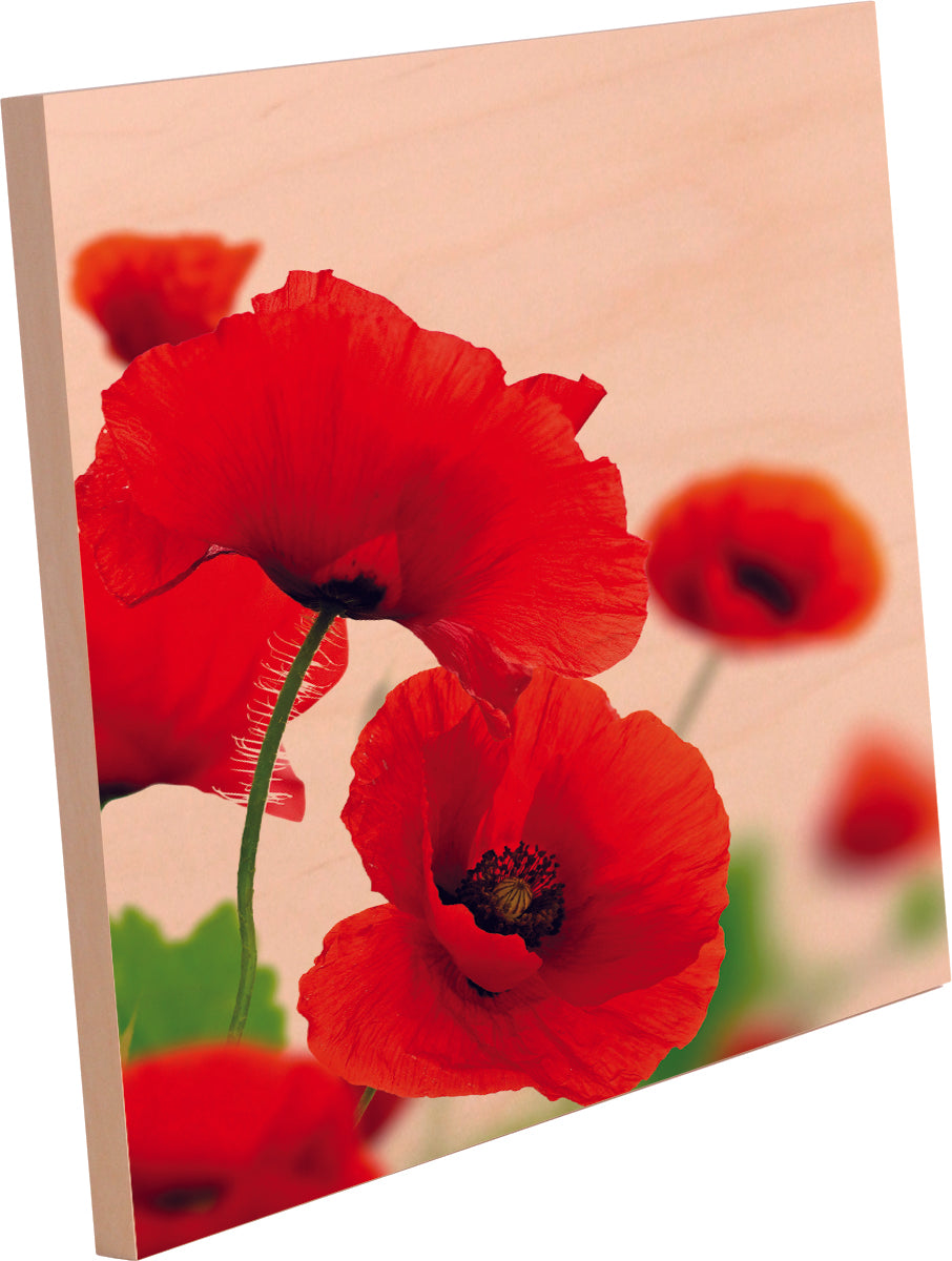 4528 ChromaLuxe® Maple Matte Clear natural wood Sublimation Panel 8"x8 ...