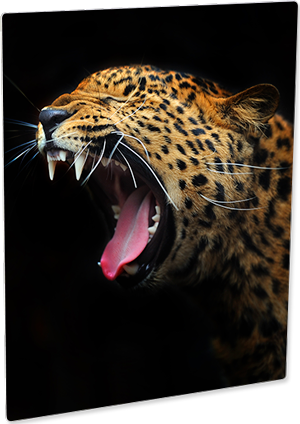 4553 11" x 14" x .045” ChromaLuxe™ Semi-Gloss White Aluminum ...